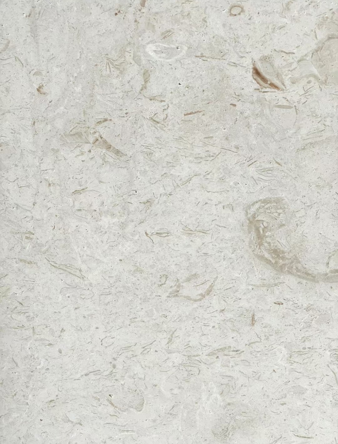 Moon Cream – AYX Import & Export Trading Co.